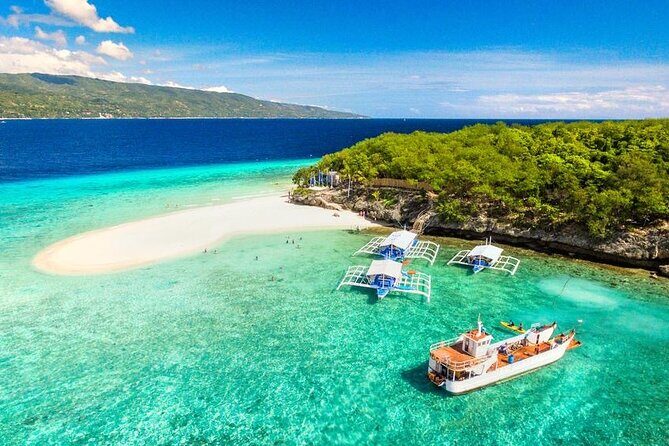 Whale Shark Encounter and Sumilon Sandbar with Kawasan Falls - What’s Included and What to Expect