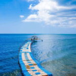 Whale Shark Interaction at Donsol Sorsogon by ZCHEDULISTA - What’s Included and What’s Not