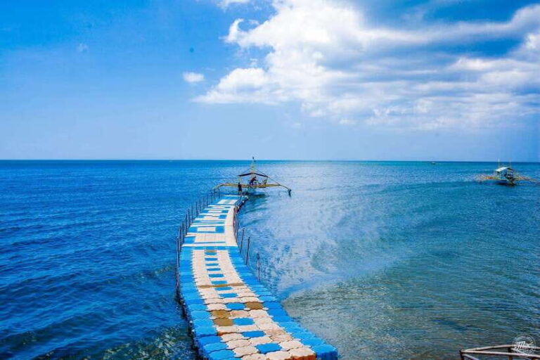 Whale Shark Interaction at Donsol Sorsogon by ZCHEDULISTA - What’s Included and What’s Not