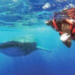Whale Shark Watching and Snorkeling Experience on Contoy Island - Final Thoughts