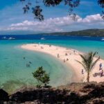 Whale Shark Watching + Simala Church Day Tour - Timing & Practical Details