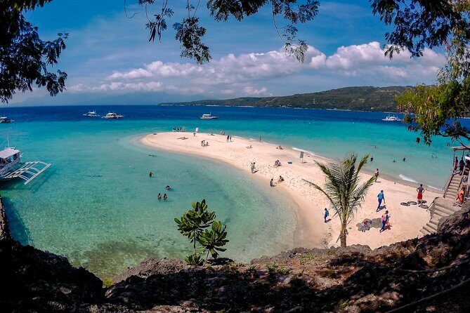 Whale Shark Watching + Simala Church Day Tour - Timing & Practical Details