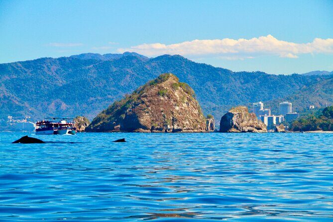 Whale Watching and Los Arcos 5 Islands Adventure - What You Get for the Price