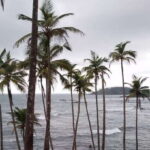 Whale Watching Day Tour to Mirissa - An In-Depth Look at the Mirissa Whale Watching Tour