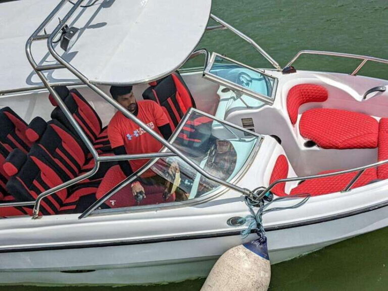 Whale Watching in Speed Boat in Mirissa - Who Should Book This Tour?