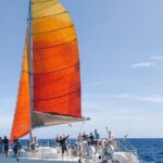 Whale Watching Sail in Honolulu with Open Bar - Frequently Asked Questions