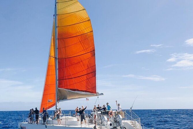 Whale Watching Sail in Honolulu with Open Bar - Frequently Asked Questions