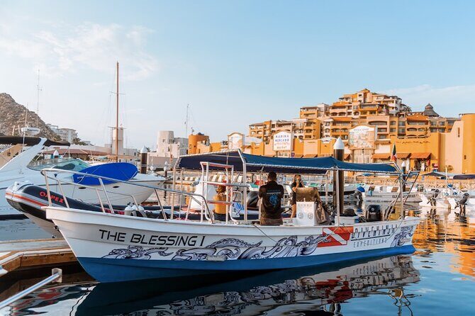 Whale Watching Tour in Cabo San Lucas - Final Thoughts