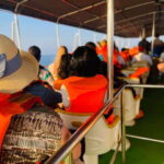 Whale Watching Tour with Transfers - Is It Worth the Price?