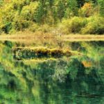 When Chinese Leaves Fall - FAQs About the Tour