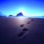 Where Jesus Walked Immersive Experience Ticket - Analyzing the Value and Overall Experience