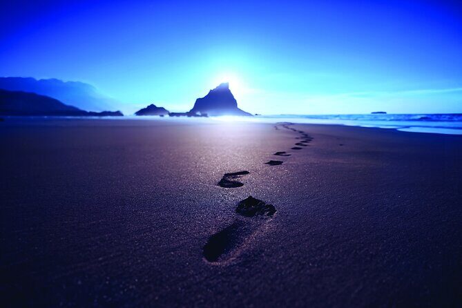 Where Jesus Walked Immersive Experience Ticket - Analyzing the Value and Overall Experience