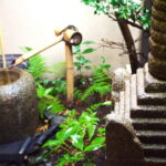 Whisk Your Own Matcha: A Zen Tea Ceremony Experience - The Sum Up