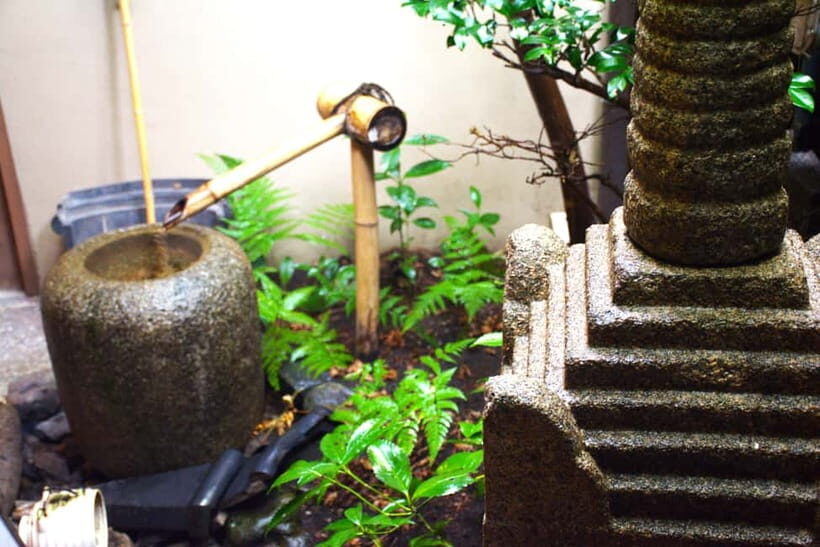 Whisk Your Own Matcha: A Zen Tea Ceremony Experience - The Sum Up