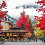 Whistler: Adventure to Vancouver (3-Days) - Final Thoughts: Is This Tour Right for You?