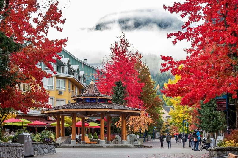 Whistler: Adventure to Vancouver (3-Days) - Final Thoughts: Is This Tour Right for You?