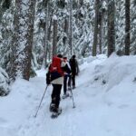 Whistler Lost Lake Snowshoeing and Village Tour - Transportation and Group Size: Why It Matters