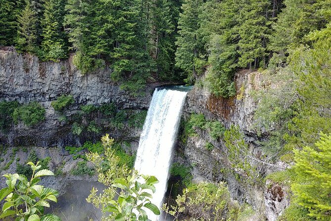 Whistler Vancouver Private Transfer - What Sets This Service Apart?