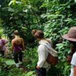 White Water Rafting in Kitulgala From Kandy - Pricing and Value