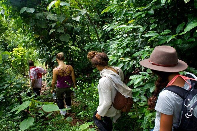 White Water Rafting in Kitulgala From Kandy - Pricing and Value