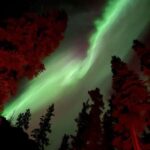 Whitehorse: Aurora Viewing with Wild Adventure Yukon - Who Is This Tour Best For?