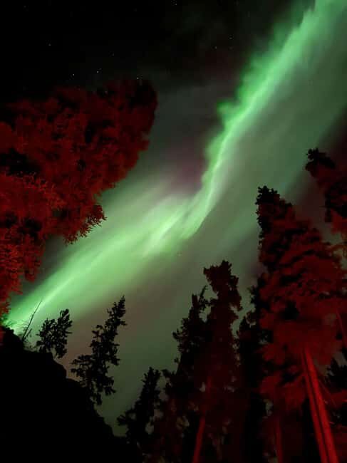 Whitehorse: Aurora Viewing with Wild Adventure Yukon - Who Is This Tour Best For?
