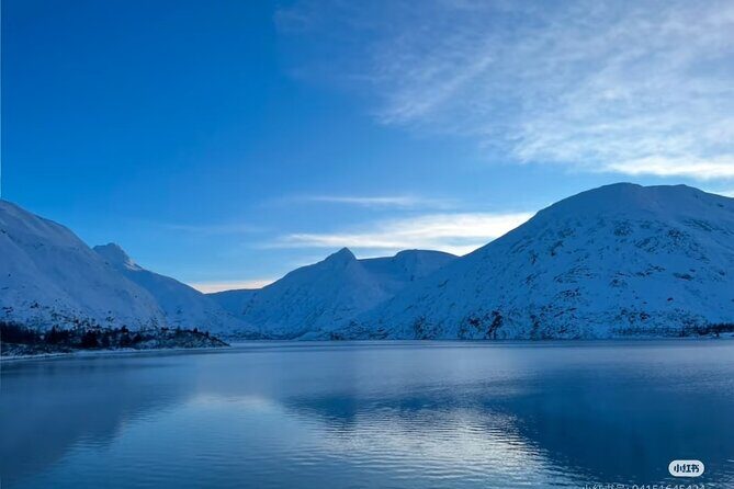 Whittier Cruise Shuttle Tour with Multiple Stops - What’s Included and What’s Not