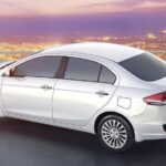 Whole Day and Private Car and Van Rental to Oslob from Cebu City or Mactan - Authentic Experiences and Practical Tips