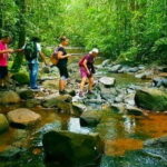 Wild Wonders (8 Days) - Day 1: Sinharaja Forest Reserve – Jungle Trekking