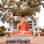 Wild Wonders and Hidden Temples from Galle (2 Days) - Day 2: Wildlife and Wellness