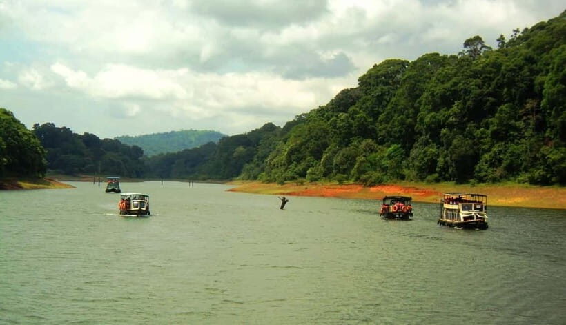 Wilderness & Culture: One Day Tour of Thekkady with Jeep !! - The Value of This Tour