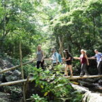 Wildlife and Jungle Adventure - 01Day in Phong Nha - The Value of This Experience