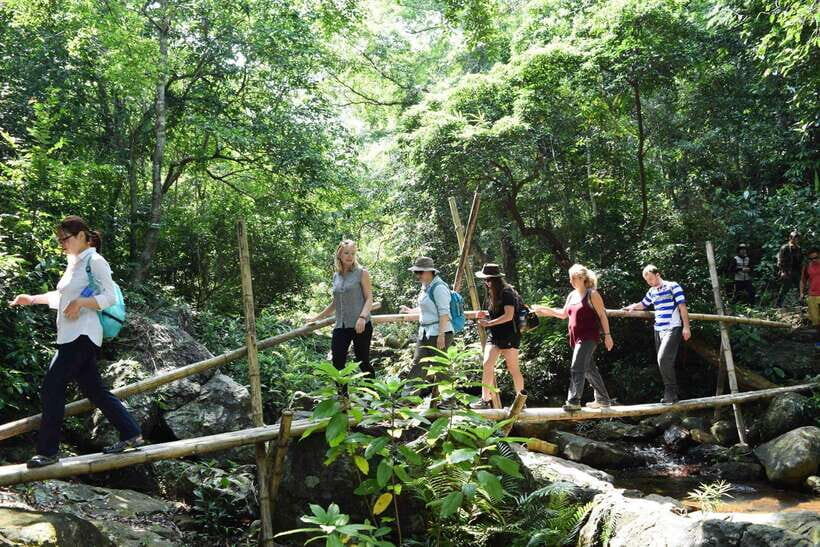 Wildlife and Jungle Adventure - 01Day in Phong Nha - The Value of This Experience