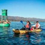 Wildlife Kayak Tour in Santa Barbara Harbor (2 Hours) - Authentic Experiences & Review Highlights