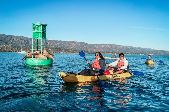 Wildlife Kayak Tour in Santa Barbara Harbor (2 Hours) - Authentic Experiences & Review Highlights