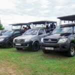 Wildlife Safari Yala National park - Practical Tips and Considerations