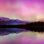 Wildlife Wild Skies: Jasper Planetarium Combo - The Celestial Connection: Jasper Planetarium