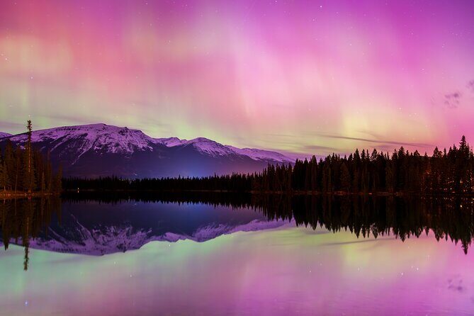 Wildlife Wild Skies: Jasper Planetarium Combo - The Celestial Connection: Jasper Planetarium