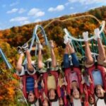 Williamsburg: Busch Gardens Ticket & Water Country Option - Ride and Show Experiences