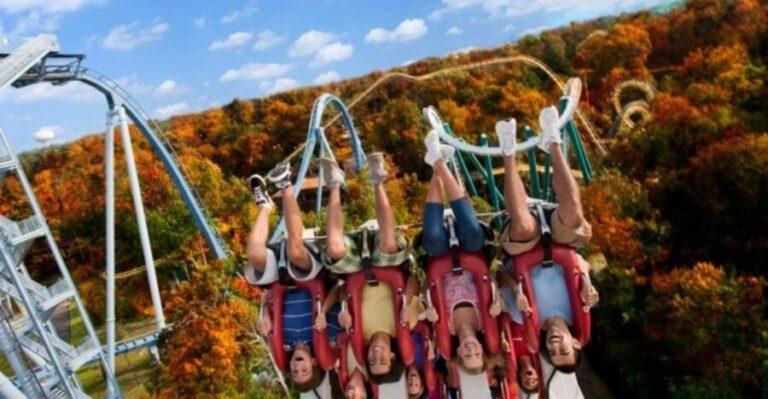 Williamsburg: Busch Gardens Ticket & Water Country Option - Ride and Show Experiences