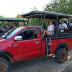Wilpattu National Park Leopard safari from Colombo/Negambo - The Practicalities: What You Need to Know