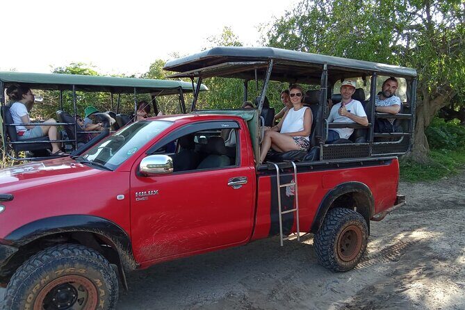 Wilpattu National Park Leopard safari from Colombo/Negambo - The Practicalities: What You Need to Know