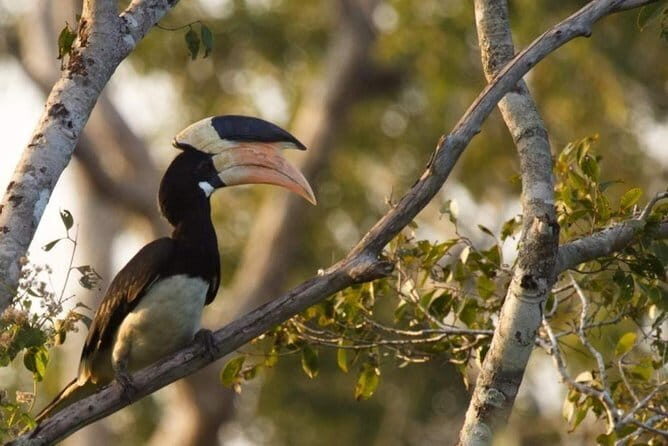 Wilpattu National Park Private Full Day Safari From Negombo - The Itinerary in Detail: From Negombo to Wilpattu