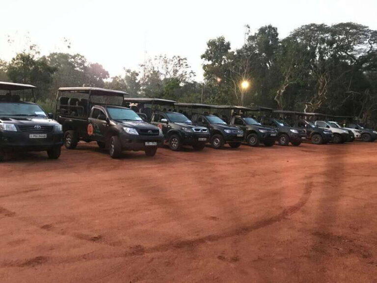 Wilpattu National Park Safari - Exploring the Wilpattu Experience