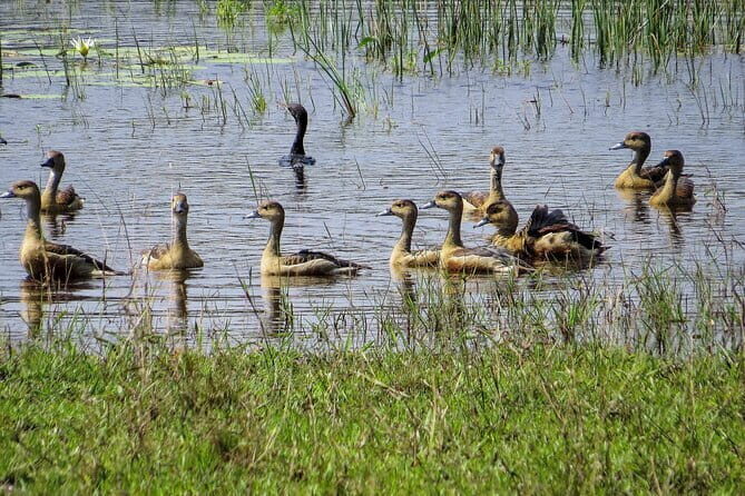 Wilpattu National Park Safari from Kandy - The Private Guided Jeep Safari