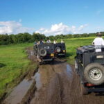 Wilpattu Safari tour from Negombo - Analyzing the Value