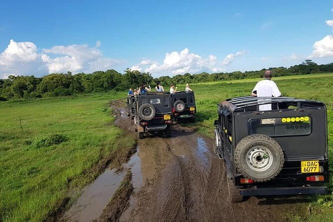 Wilpattu Safari tour from Negombo - Analyzing the Value