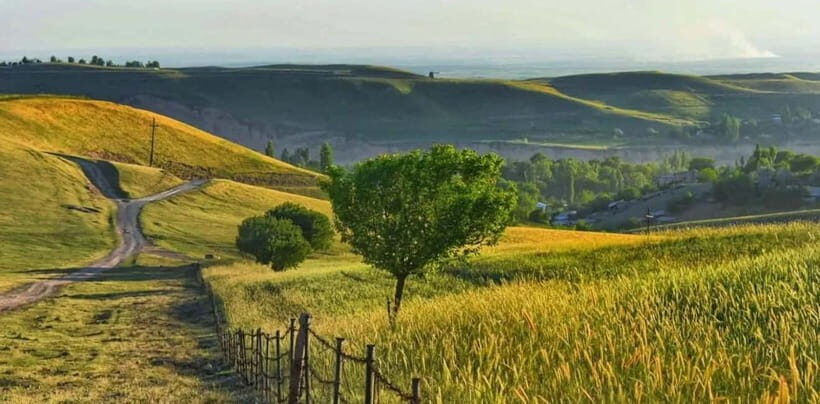 Windows Desktop Theme - Poppy Fields from Tashkent - Who Is This Tour Best For?