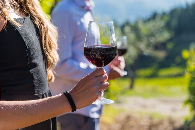 Wine Hiking Sip & Trek - Authentic Experiences and Testimonials