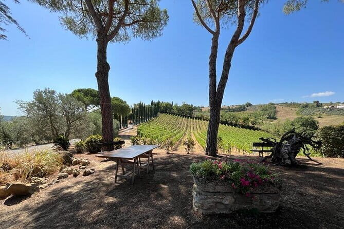 Wine Tasting and History Guided Day Tour in Chianti - The Practicalities: What You Need to Know